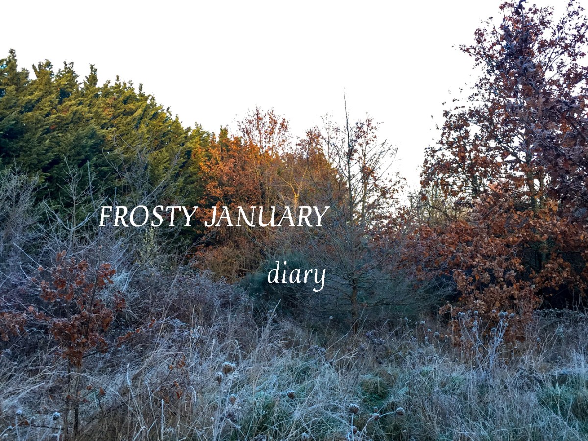And just like that, January is gone… | Beautiful Things