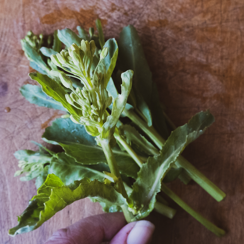 Sautéed Cabbage sprouts recipe | Beautiful Things