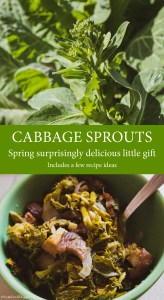 Sautéed Cabbage sprouts recipe | Beautiful Things